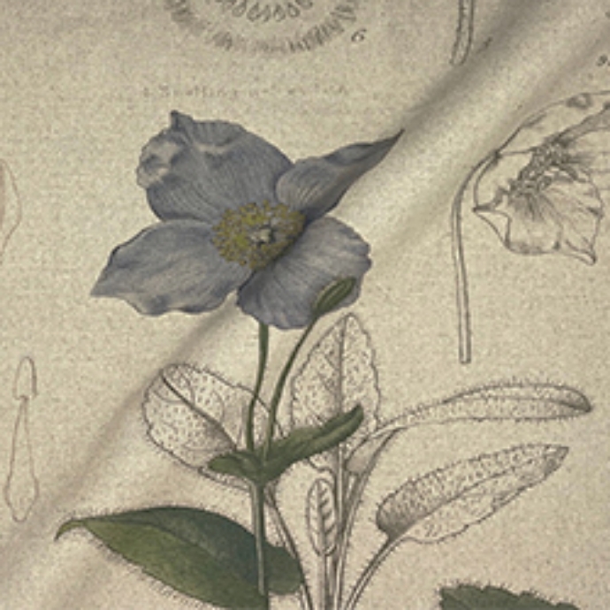 RHS Collection - Lilian Snelling Design | Bulbs Linen | 100% Linen ...